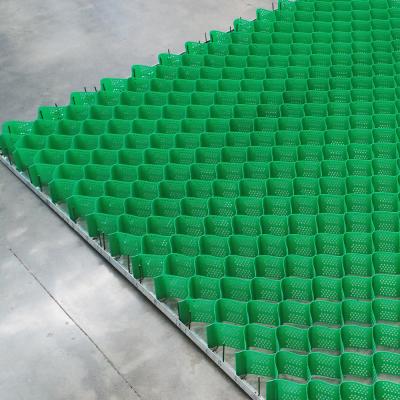 China HDPE Geocell GM660-200mm Tree Root Protection Grid for Green Areas and Parks In Vietnam for sale
