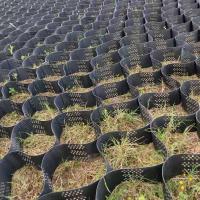 China Eco-Friendly 100mm Geocell for Vegetation Erosion Control on Mild Slopes for sale