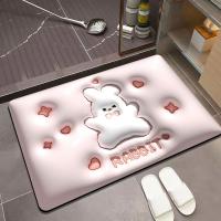 China Swell Small Garden Diatom Mud Bath Mat Non Slip Quick Dry Bathroom Floor Mat 40x60cm for sale