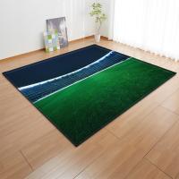 China 3D Printed Grass Court Living Room Carpet 100% Polyester 150x200cm for sale