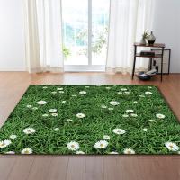 China Custom Polyester Carpet Rug 100x150cm Machine Washable Floor Mat for Living Room Bedroom for sale