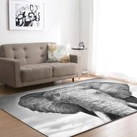 China Custom Polyester Carpet Rug 100x150cm Machine Washable Floor Mat for Living Room Bedroom for sale