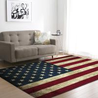 China Customizable 3D Polyester Living Room Carpet 121.9x160cm Machine Washable Floor Mat for sale