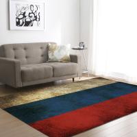 China Customizable 3D Polyester Living Room Carpet 121.9x160cm Machine Washable Floor Mat for sale