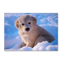 China Custom Polyester Animal Cartoon Carpet 1.2x1.6m Machine Washable Floor Mat for Home Office for sale