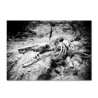 China Custom Polyester Skeleton Floor Mat 150x210cm Machine Washable Living Room Carpet for sale