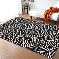 China Custom 3D Floor Painting Polyester Carpet Anti Slip Water Absorbing Mat 80x120cm for sale