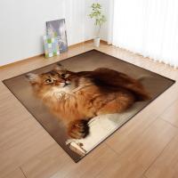 China Custom Round Polyester Carpet 1.5x2m Machine Washable Floor Mat for Living Room Bedroom for sale