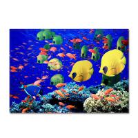 China Custom Round Polyester Carpet 1.5x2m Machine Washable Floor Mat for Living Room Bedroom for sale