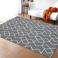 China Customizable Non Skid 3D Printed Polyester Rug 100x120cm Living Room Area Carpet for sale