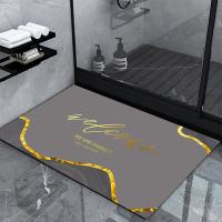 China Diatom Mud Bathroom Waterproof Carpet Absorbent Mat 40x60cm Custom Size for sale
