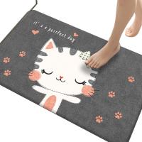 China Crystal Velvet Bathroom Carpet Anti Slip Kitchen Mat 40x60cm Waterproof for sale