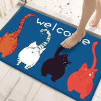 China Crystal Velvet Bathroom Carpet Anti Slip Kitchen Mat 40x60cm Waterproof for sale
