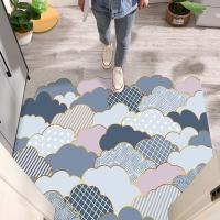 China Customizable PVC Entry Door Mat Non Washable Floor Carpet Rug 80x120cm for sale