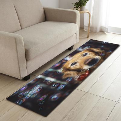 China Custom Polyester Pet Dog Kitchen Floor Mat 40x60cm Water Absorbent Entry Door Mat for sale