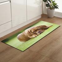 China Custom Polyester Pet Dog Kitchen Floor Mat 40x60cm Water Absorbent Entry Door Mat for sale