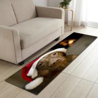 China Custom Polyester Pet Dog Kitchen Floor Mat 40x60cm Water Absorbent Entry Door Mat for sale