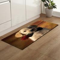 China Custom Polyester Pet Dog Kitchen Floor Mat 40x60cm Water Absorbent Entry Door Mat for sale