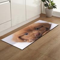 China Custom Polyester Pet Dog Kitchen Floor Mat 40x60cm Water Absorbent Entry Door Mat for sale