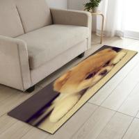 China Custom Polyester Pet Dog Kitchen Floor Mat 40x60cm Water Absorbent Entry Door Mat for sale