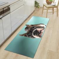 China Custom Polyester Pet Dog Kitchen Floor Mat 40x60cm Water Absorbent Entry Door Mat for sale