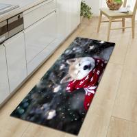 China Custom Polyester Pet Dog Kitchen Floor Mat 40x60cm Water Absorbent Entry Door Mat for sale