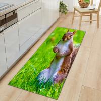China Custom Polyester Pet Dog Kitchen Floor Mat 40x60cm Water Absorbent Entry Door Mat for sale