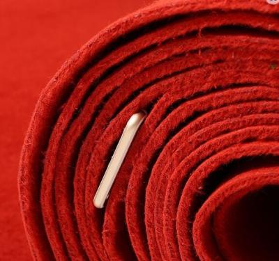China 5mm Thick Polypropylene Commercial Floor Mat 1m Width Brushed Carpet for Wedding Hotel Corridor for sale