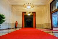 China 5mm Thick Polypropylene Commercial Floor Mat 1m Width Brushed Carpet for Wedding Hotel Corridor for sale