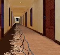 China Custom Printed Nylon Commercial Floor Mat 4m Width Hotel Carpet Large Area Full Print for sale