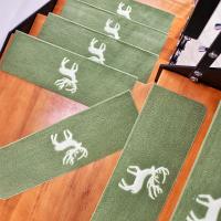 China Luminous Non-Slip Self-Adhesive Stair Mat for sale