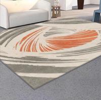 China North European Thickened Full Paving Living Room Floor Carpet 80x120cm Polyester Fiber for sale