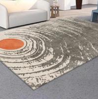 China North European Thickened Full Paving Living Room Floor Carpet 80x120cm Polyester Fiber for sale