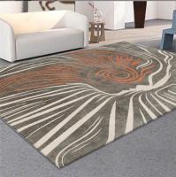 China North European Thickened Full Paving Living Room Floor Carpet 80x120cm Polyester Fiber for sale