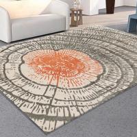 China North European Thickened Full Paving Living Room Floor Carpet 80x120cm Polyester Fiber for sale