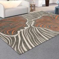 China North European Thickened Full Paving Living Room Floor Carpet 80x120cm Polyester Fiber for sale