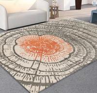 China North European Thickened Full Paving Living Room Floor Carpet 80x120cm Polyester Fiber for sale