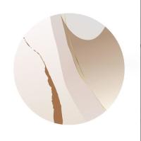 China Round Crystal Velvet Carpet Floor Mat 80cm Diameter Living Room Decorative Chair Mat for sale