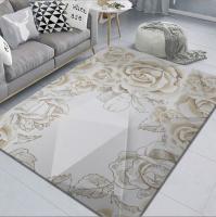 China Machine Washable Crystal Velvet Tatami Mat Sofa Bed Blanket Living Room Floor Carpet 80x120cm for sale