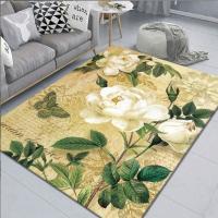 China Machine Washable Crystal Velvet Tatami Mat Sofa Bed Blanket Living Room Floor Carpet 80x120cm for sale