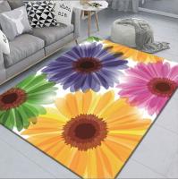 China Machine Washable Crystal Velvet Tatami Mat Sofa Bed Blanket Living Room Floor Carpet 80x120cm for sale