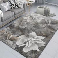 China Hand Painted Printed Crystal Velvet Tatami Mat Machine Washable 80x120cm Living Room Carpet for sale