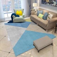 China Custom Crystal Velvet Living Room Carpet 6mm Thick Machine Washable Irregular Shape Rug for sale