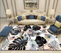 China Crystal Velvet Floor Carpet 6mm Thick Machine Woven Rectangle Rug for Living Room Bedroom for sale