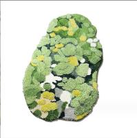 China Customizable Polyacrylonitrile Fiber Carpet 70x140cm Machine Washable Floor Mat for sale