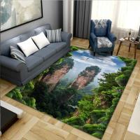 China Custom Polyester Fiber Living Room Carpet 100x200cm Machine Washable Rectangle Rug for sale
