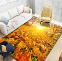 China Customizable Polyester Fiber Living Room Floor Carpet 40x60cm to 180x280cm for sale