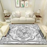 China New European Style Polyester Fiber Living Room Carpet 100x160cm Machine Washable for sale