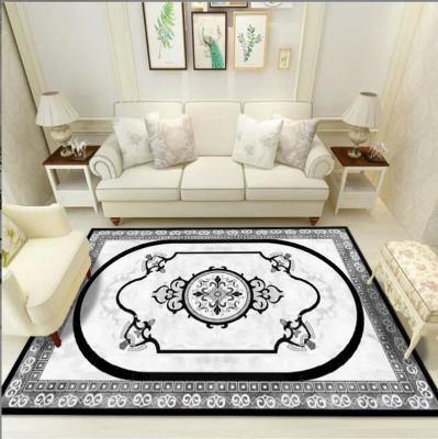 China New European Style Polyester Fiber Living Room Carpet 100x160cm Machine Washable for sale