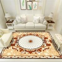 China New European Style Polyester Fiber Living Room Carpet 100x160cm Machine Washable for sale